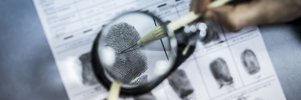 PERITAJES TÉCNICOS BOGOTÁ - SERVICIO DE PERITAJES TECNICOS